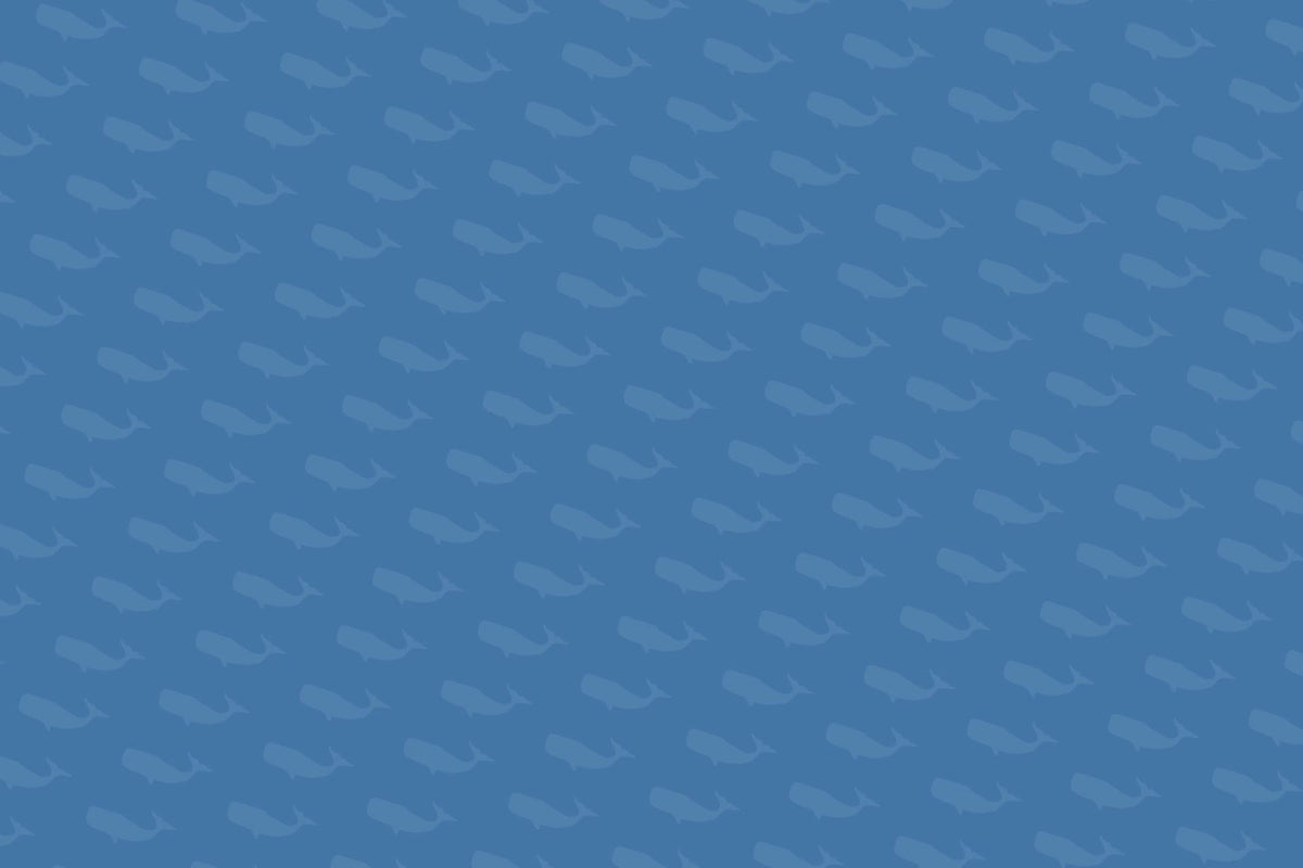 Flex-Pods – Whale Pod Shipper