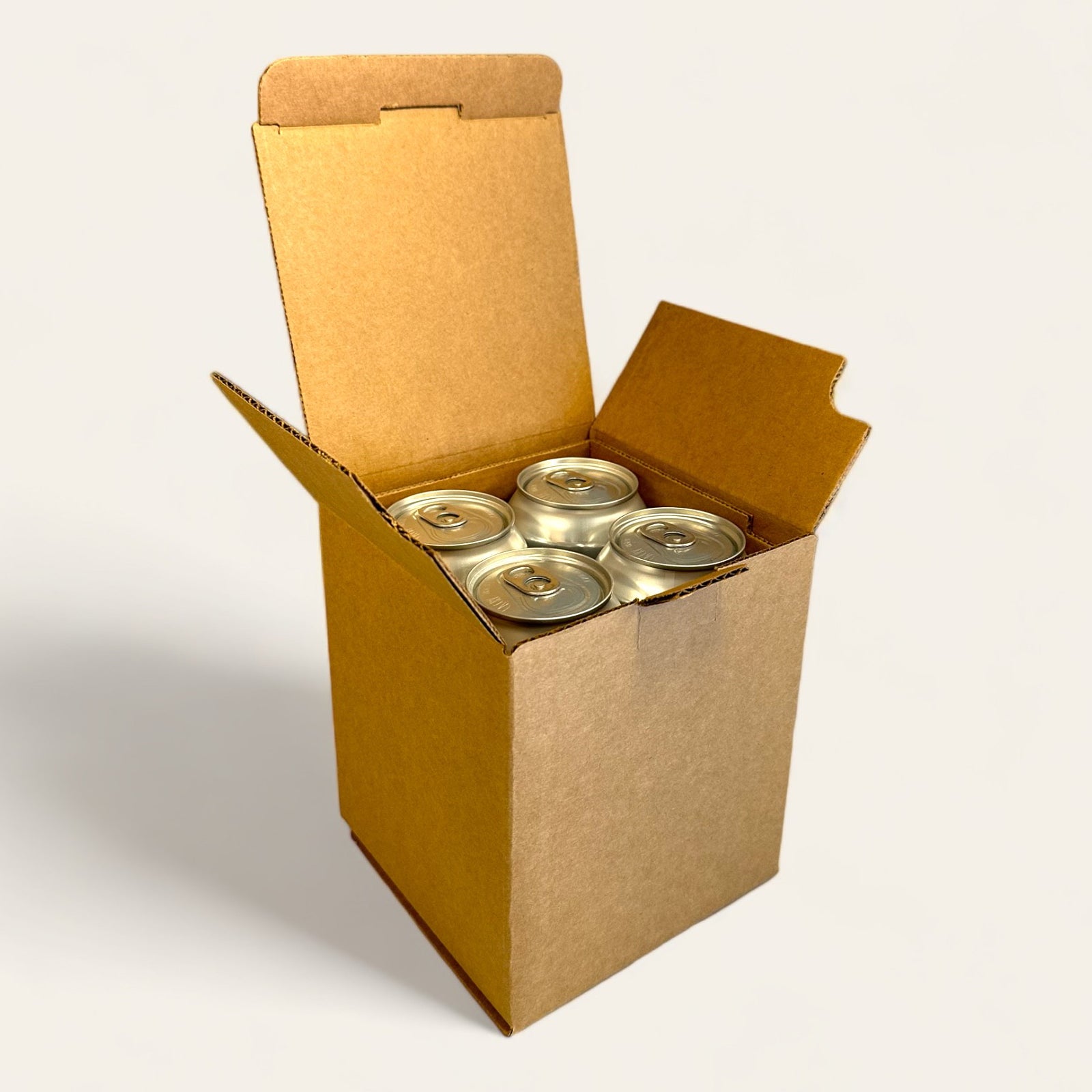 4 Pack Eco Friendly Beer Shipping Box – Whale Pod Shipper